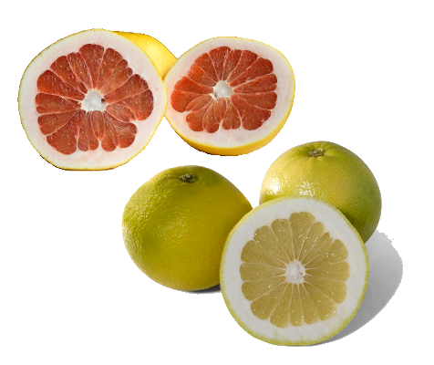 Grapefruit Combo Packs – Pearson Ranch