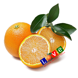 When looking to buy wholesale oranges, specialty citrus, or pomelos ...