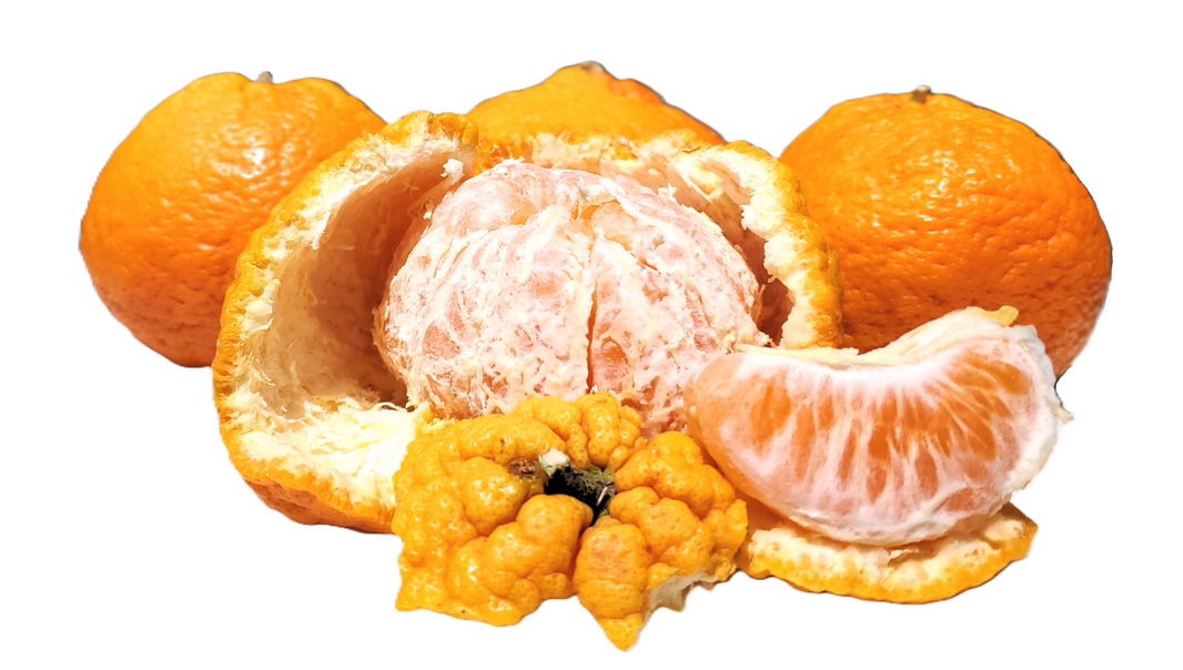 Mandarins – Pearson Ranch