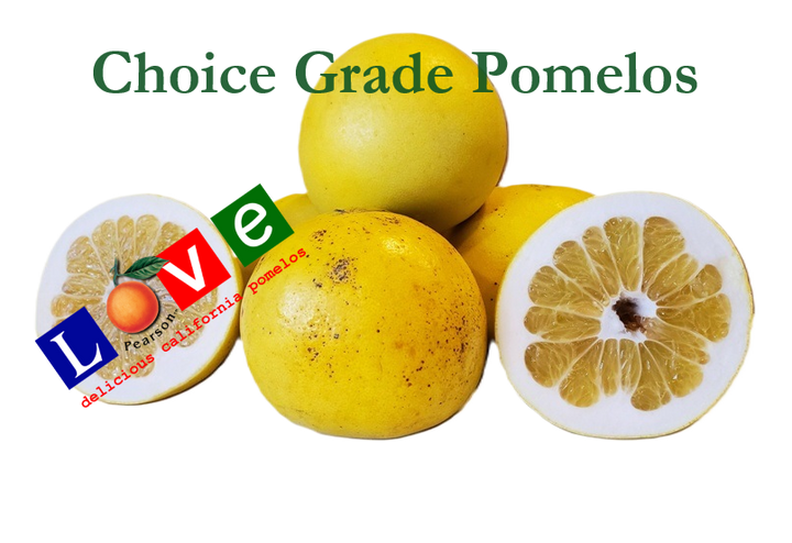 California Pomelos – Pearson Ranch