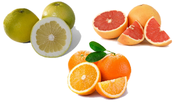 California Oranges, Navel & Valencia Oranges and Specialty Citrus ...